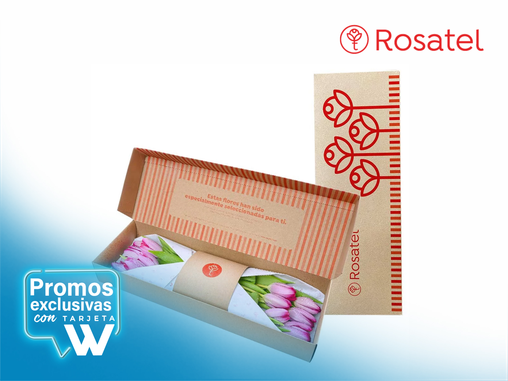 Ofertas - Malldelsur